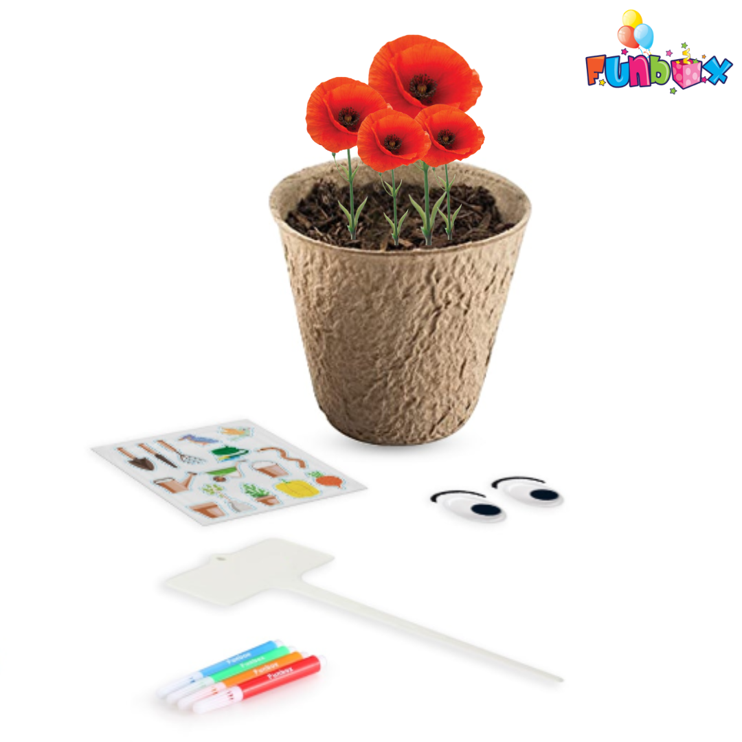 DIY ECO Poppy Planting Kit – funbox.com.au