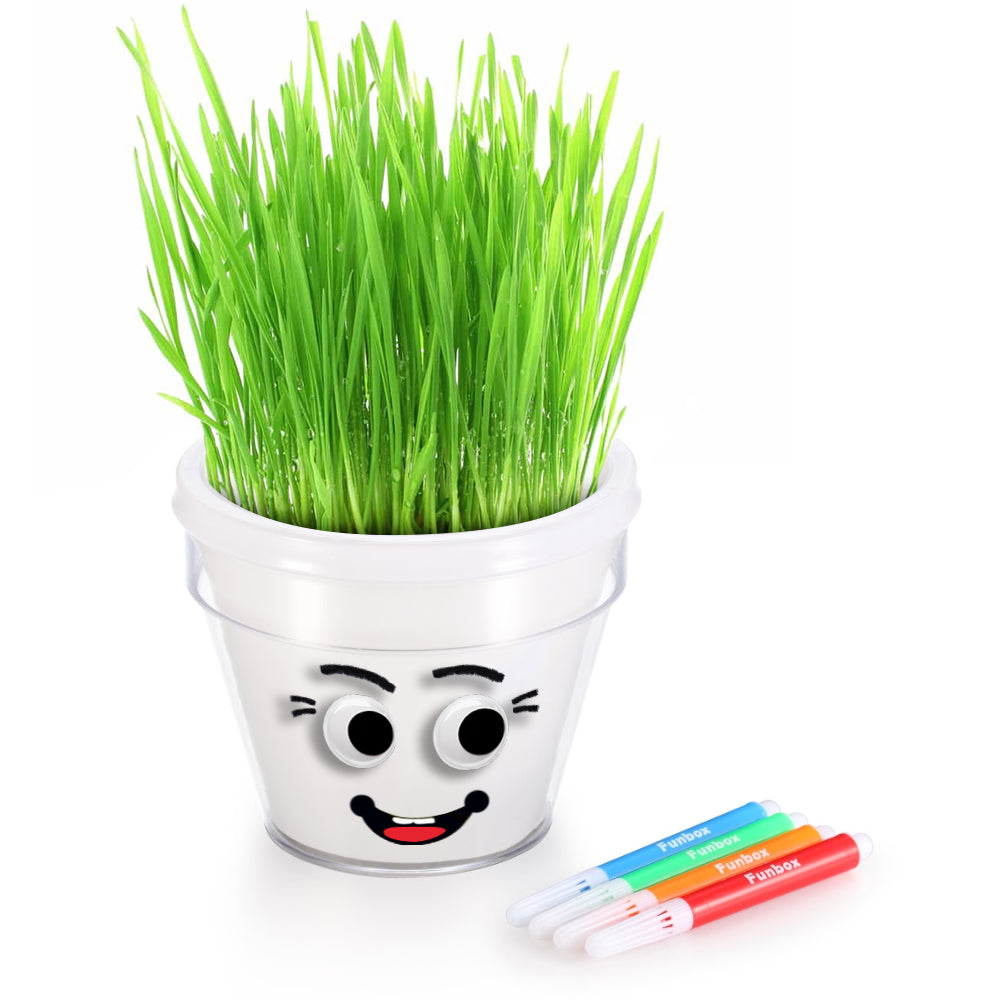 DIY Plant A Grass Head Pot Kit (White) – funbox.com.au